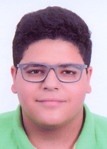 MFIS