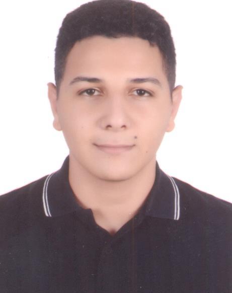 MFIS